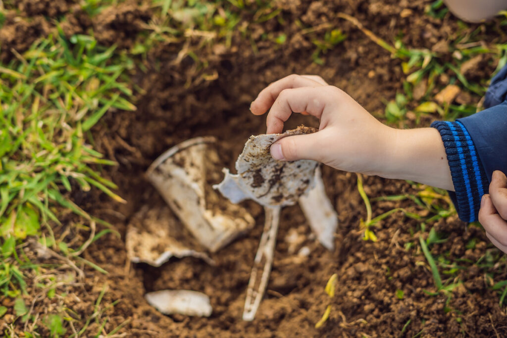 Understanding the Difference Between Compostable and Biodegradable Understanding the Difference Between Compostable and Biodegradable
